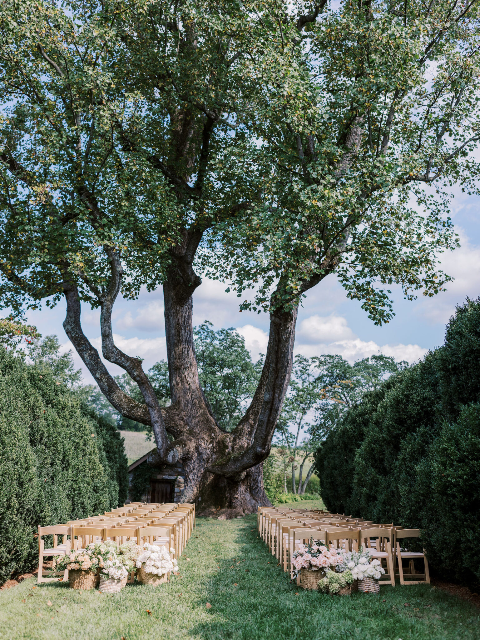 Julie + Harrison // FEATURED in Middleburg Life Magazine - English ...